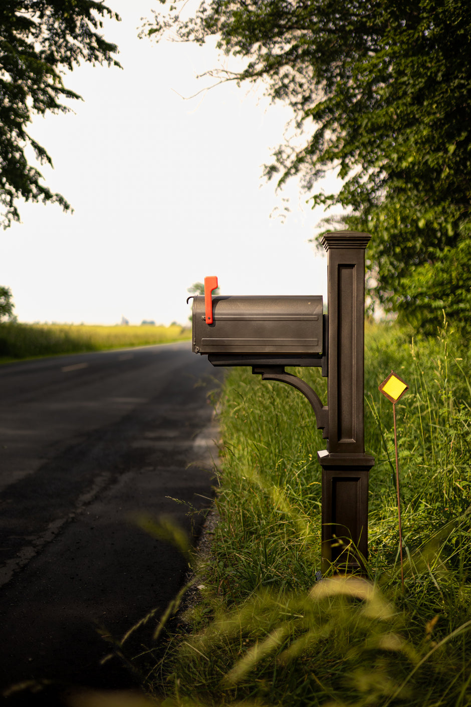 Order Request Products – Mayne Inc.